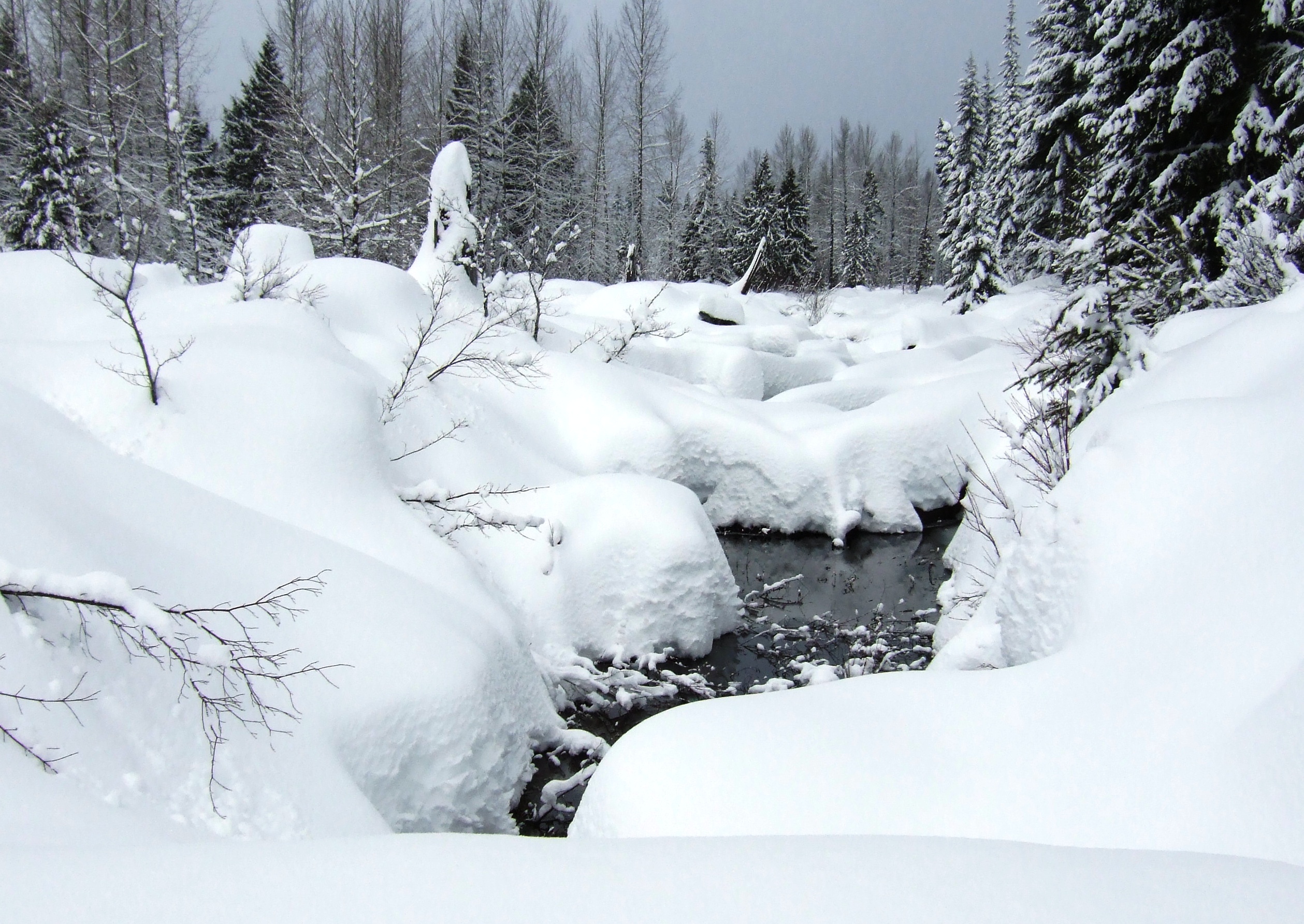 Charlieism #12 – World Conversations with Proctor Charlie